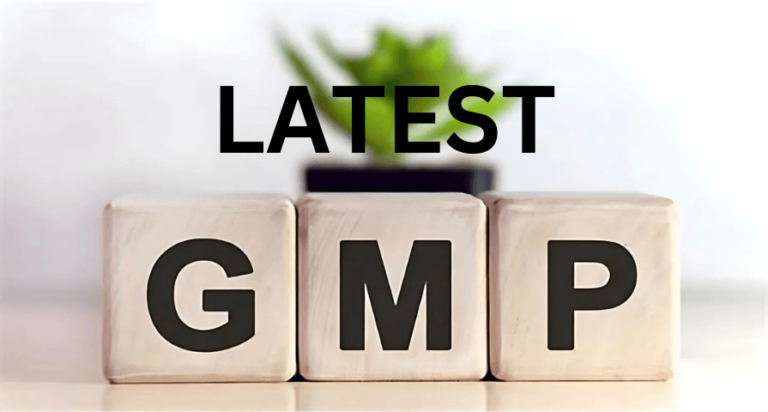 IPO Live GMP: Check Latest IPO GMP - Equity Insights