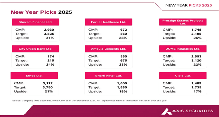 Top Investment Picks for 2025 by Axis Securities